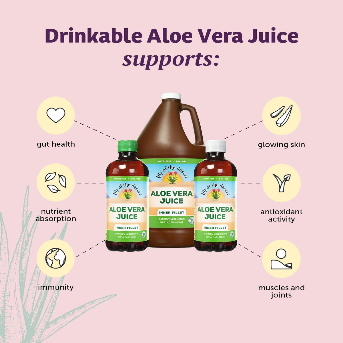refreshing aloe vera drink for hydration