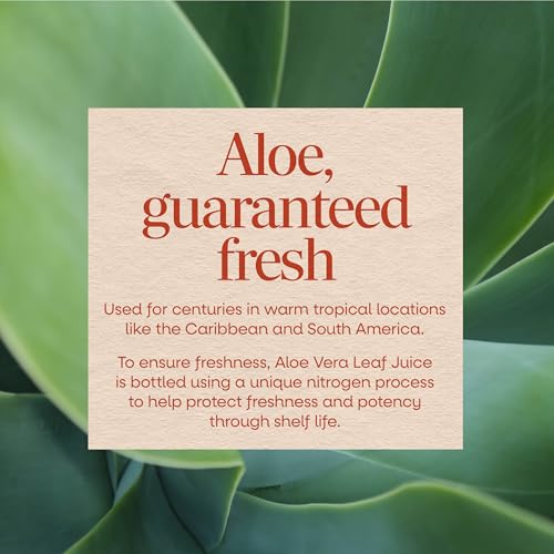 refreshing aloe vera juice for hydration