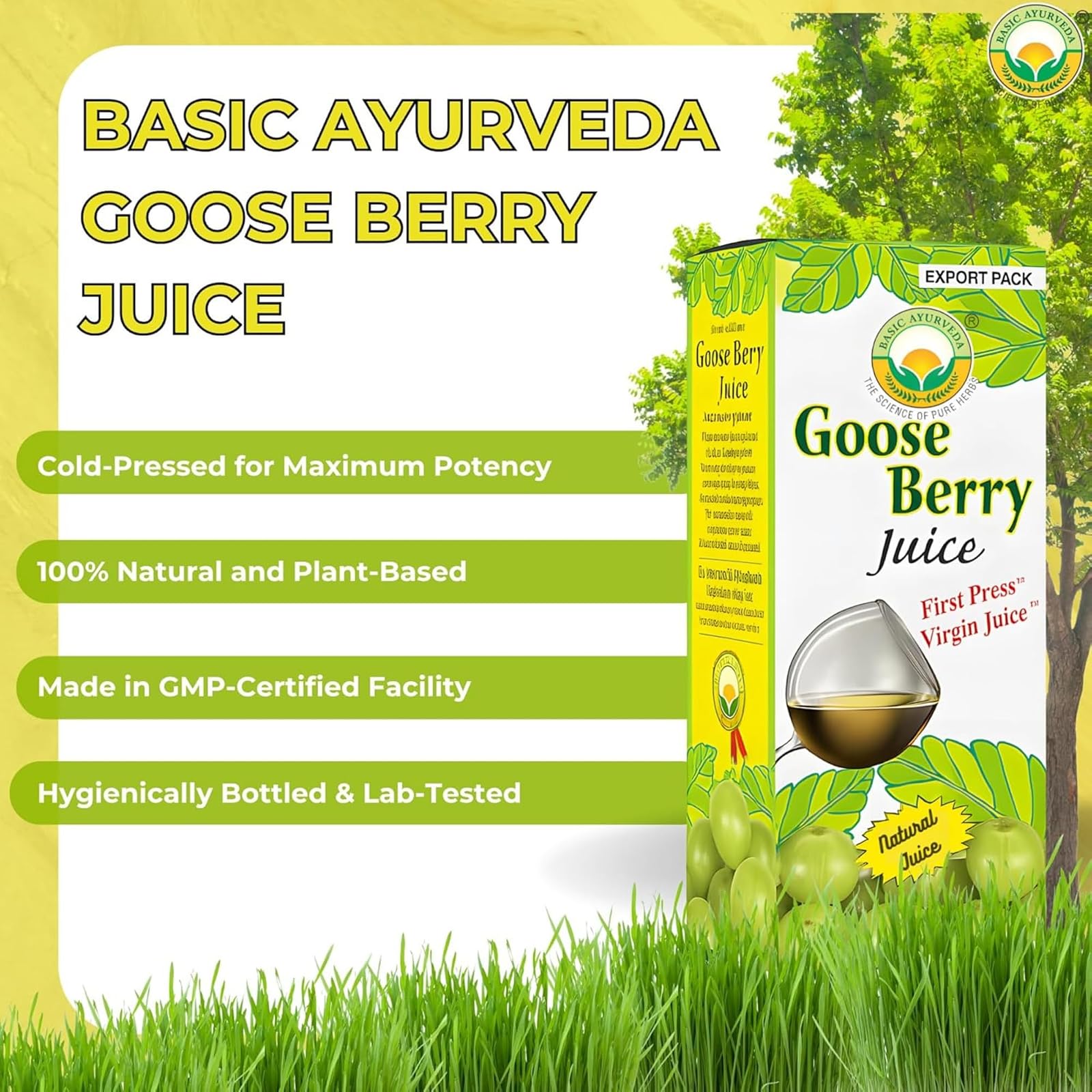 Refreshing amla juice drink
