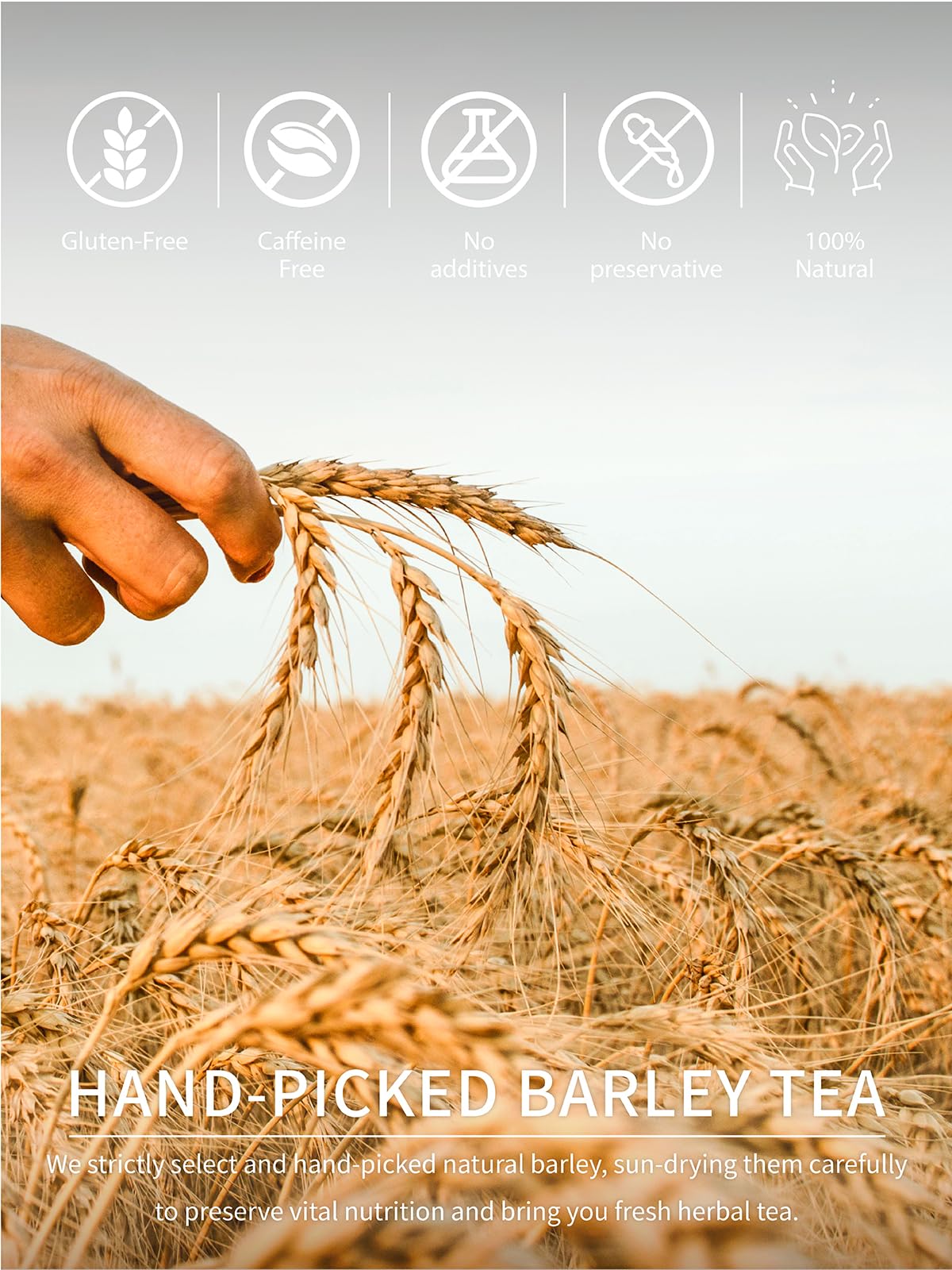 refreshing barley tea for relaxation