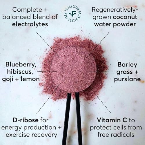 Refreshing blueberry hibiscus hydration mix
