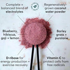 Refreshing blueberry hibiscus hydration mix