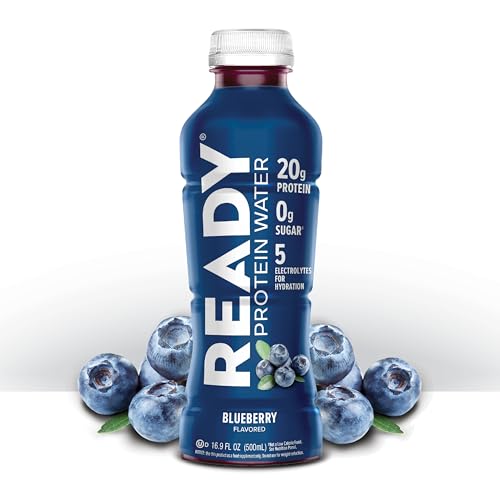 Refreshing blueberry protein hydration