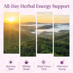 refreshing caffeine-free herbal tea