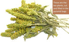refreshing chamomile tea alternative