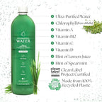 refreshing chlorophyll drink for hydration
