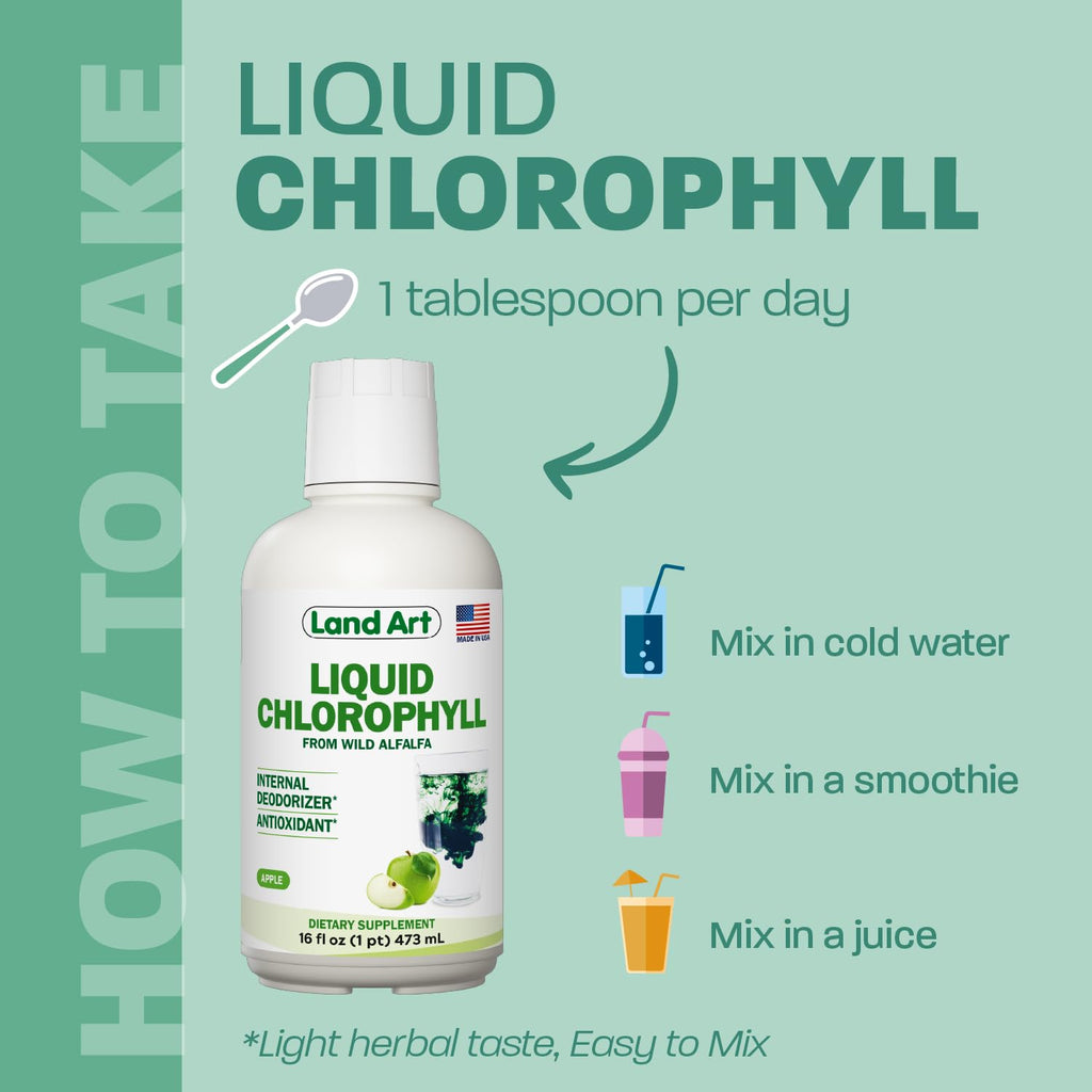 Refreshing chlorophyll drink for hydration