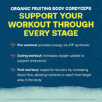 refreshing citrus drink mix for hydration
