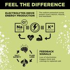 Refreshing citrus electrolytes for workouts