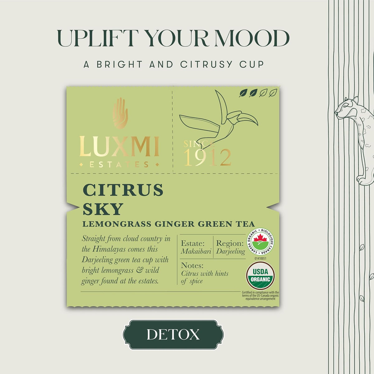 refreshing citrus sky green tea