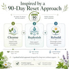 refreshing detox tea for energy