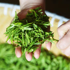 refreshing Dragon Well green tea
