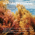 Refreshing electrolyte powder for hydration