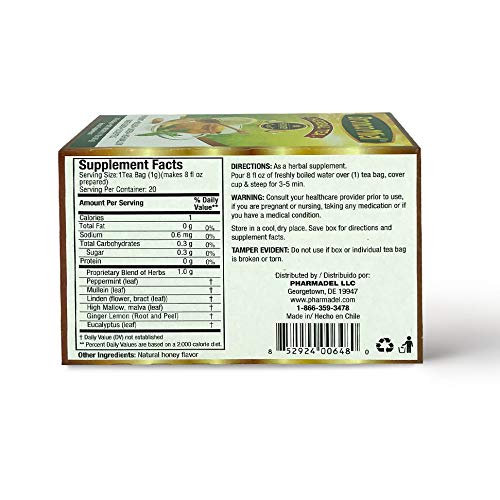 refreshing eucalyptus ginger tea
