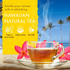 refreshing fruit herbal tea bags