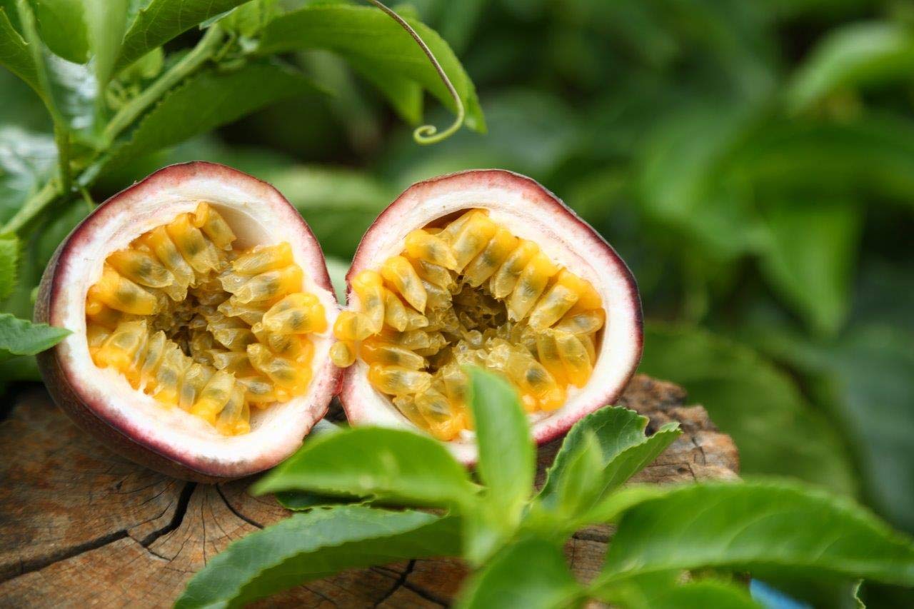 refreshing fruit tea for relaxation