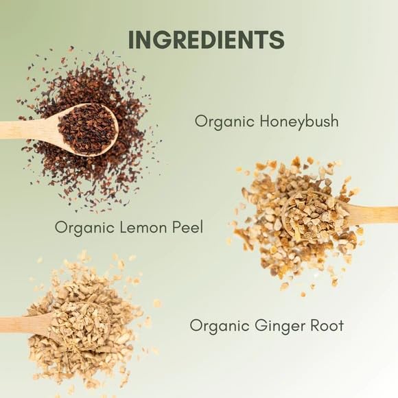 refreshing ginger lemon infusion