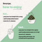 refreshing ginger tea bags
