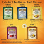 refreshing ginger tea blend