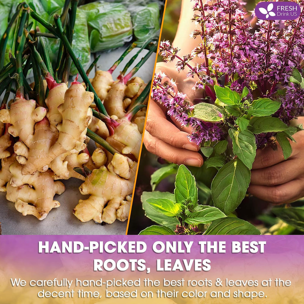 refreshing ginger tea with tulsi benefits