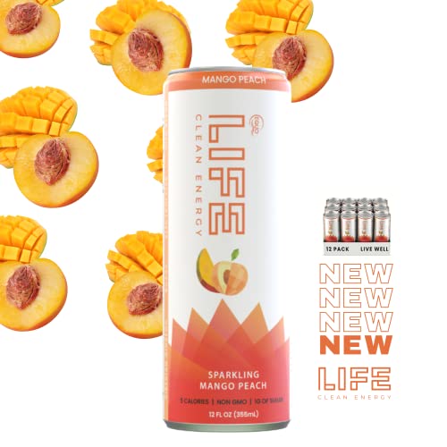 refreshing ginseng drink for daily boost