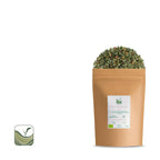 refreshing green tea extract infusion