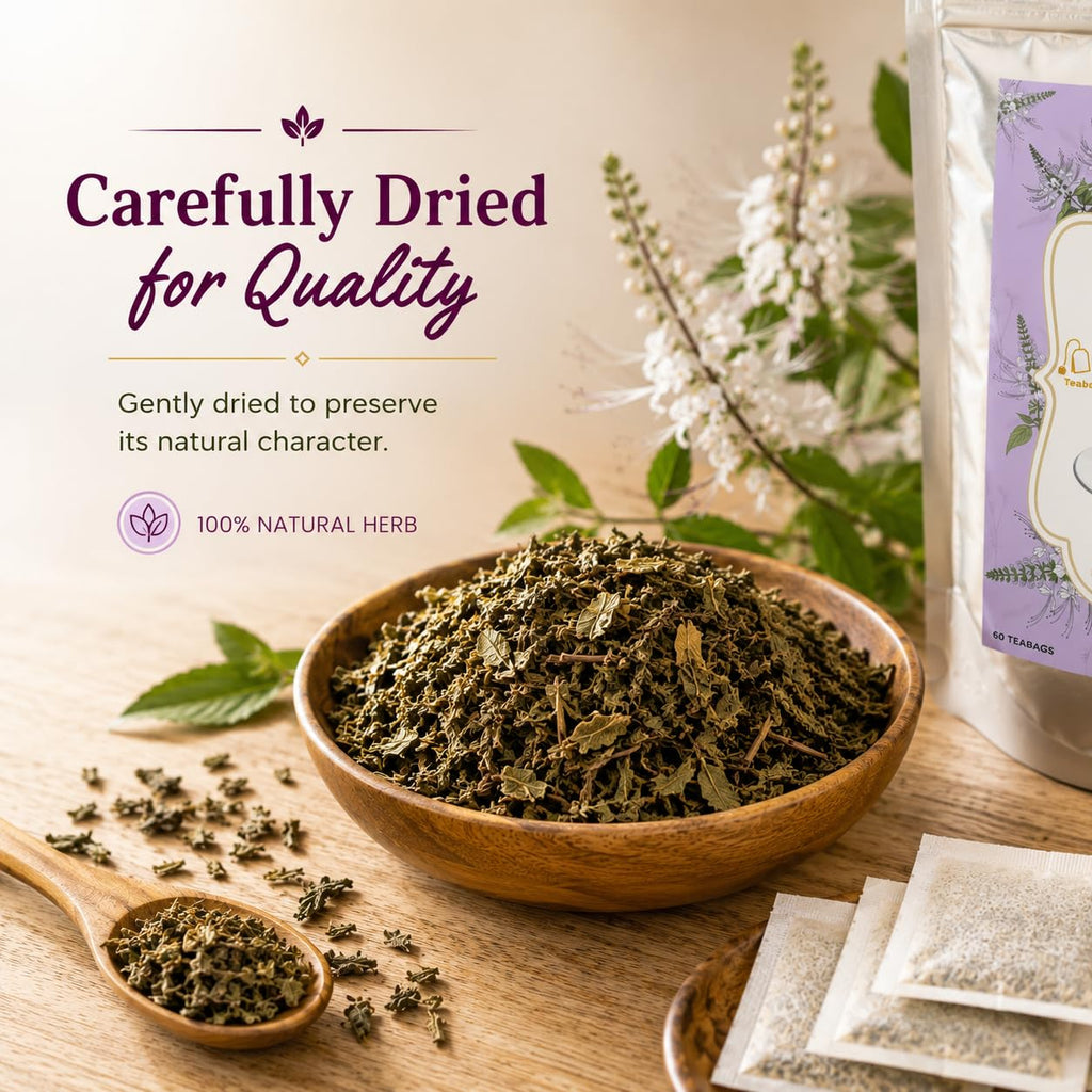 refreshing green tea extract infusion