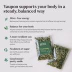 refreshing green tea extract option