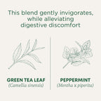 refreshing green tea peppermint blend