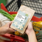 refreshing green tea with jasmine aroma