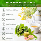 refreshing guava leaf tea bags