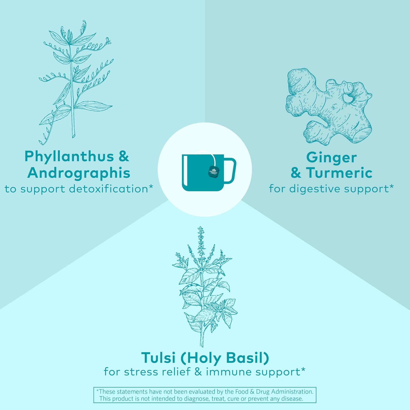 refreshing herbal detox drink