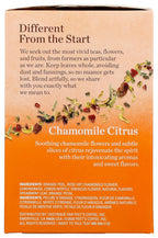 refreshing herbal detox tea experience