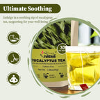 refreshing herbal detox tea experience