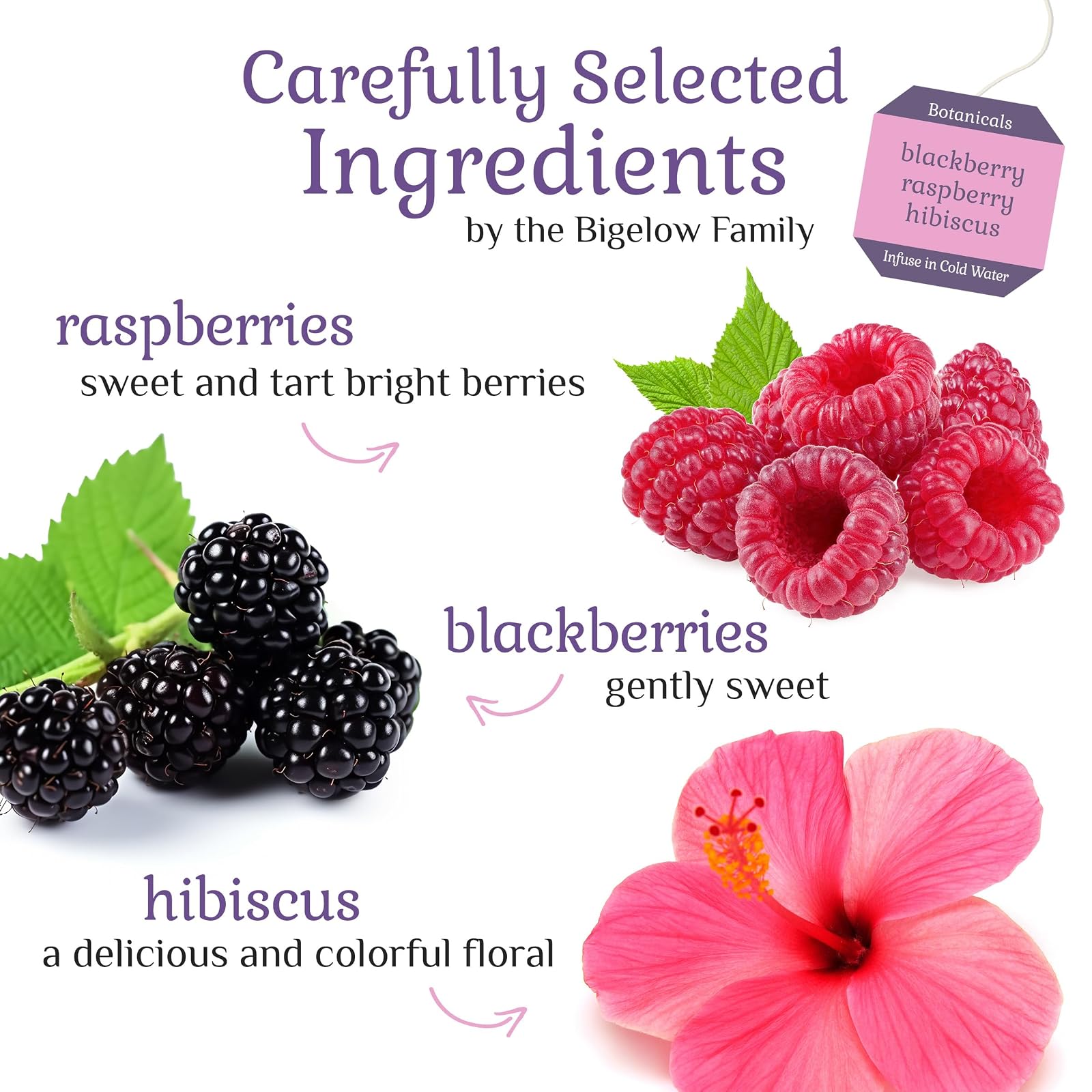 Refreshing herbal detox tea option