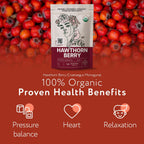 refreshing herbal hawthorn tea experience