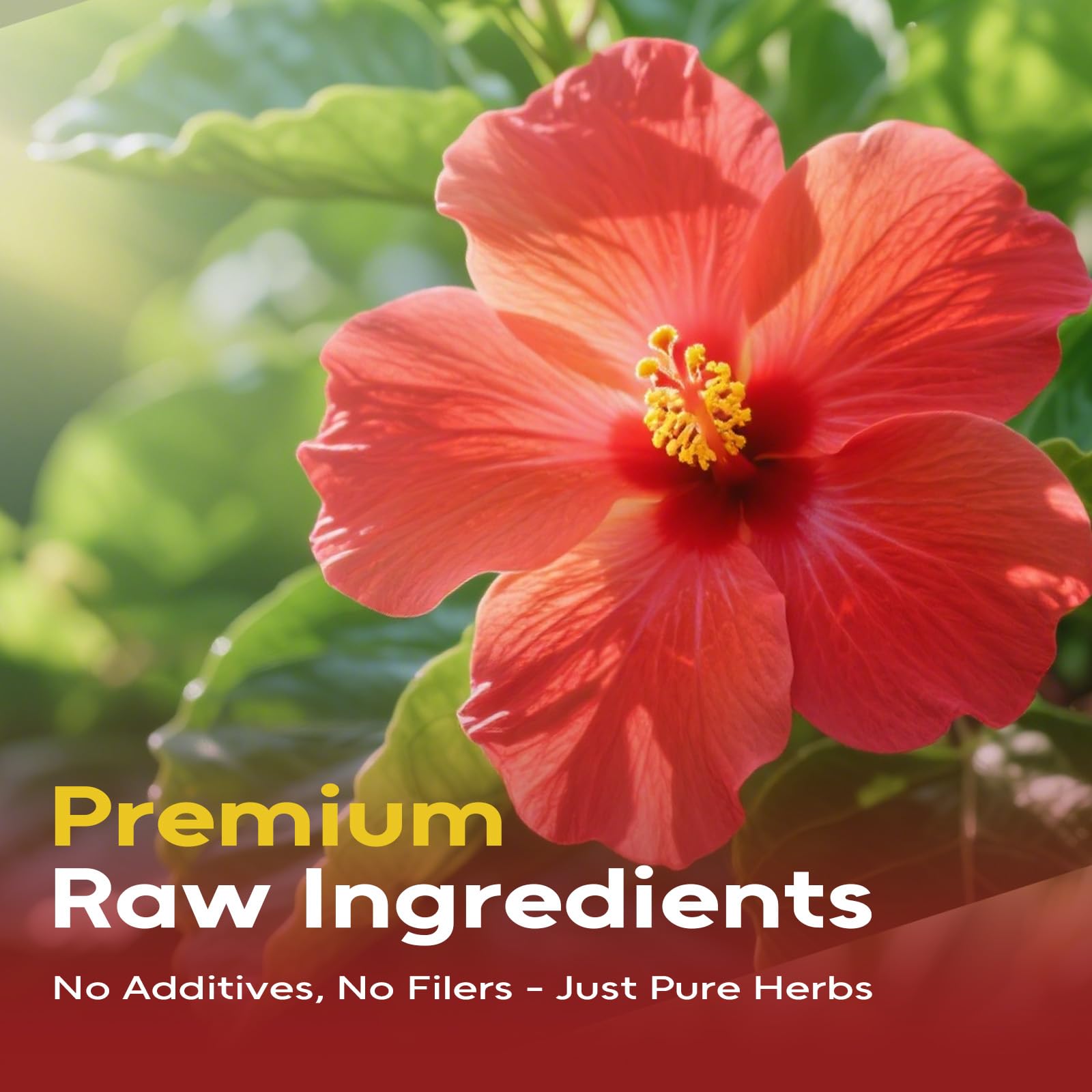 refreshing herbal hibiscus tea bags
