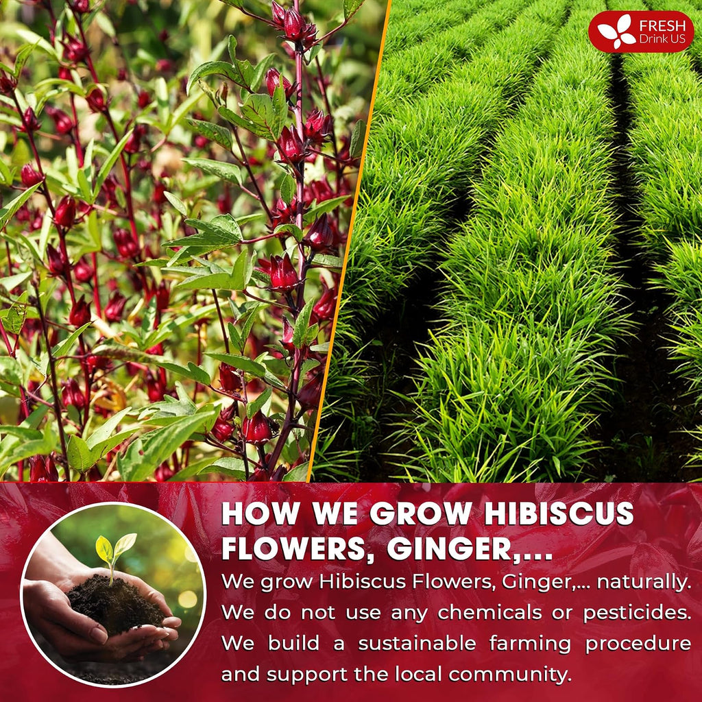 refreshing herbal infusion tea