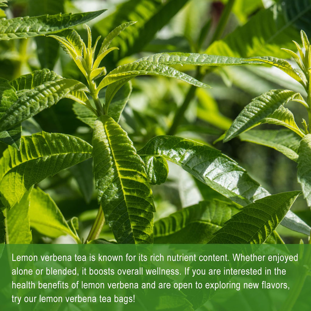 refreshing herbal tea for digestion