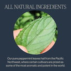 refreshing herbal tea for digestion