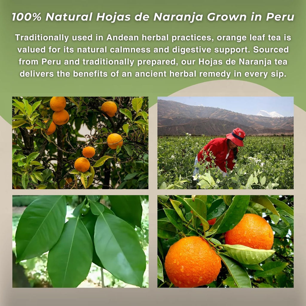 refreshing herbal tea for digestion