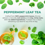 refreshing herbal tea for digestion