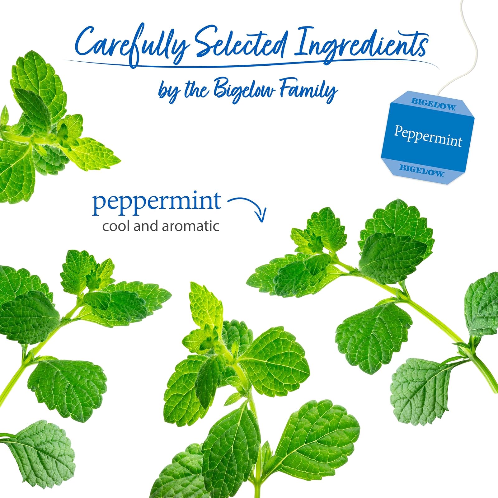 refreshing herbal tea for relaxation