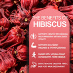 Refreshing herbal tea for relaxation