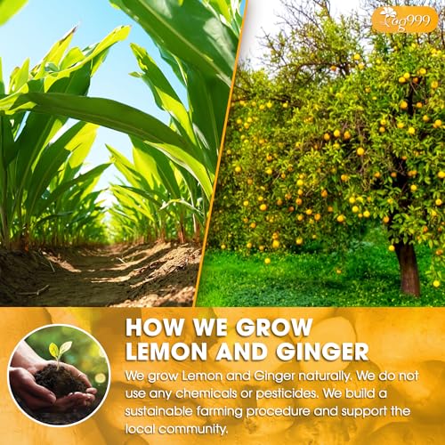 refreshing herbal tea for relaxation
