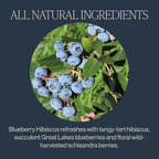 refreshing herbal tea sachets