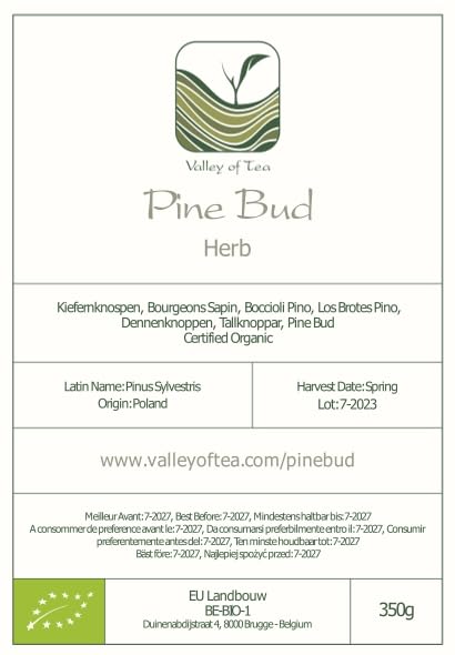 refreshing herbal tea with pine buds