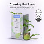 refreshing herbal tea with plum
