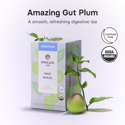 refreshing herbal tea with plum