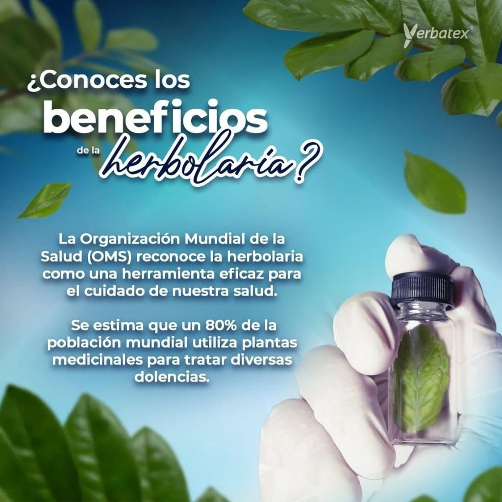 refreshing herbal tea with white sapote flavor
